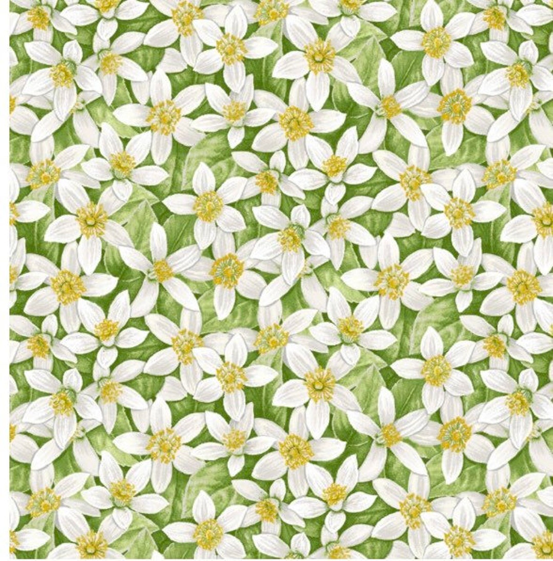 Fresh Packed Lemons Packed Lemon Flowers - Etsy