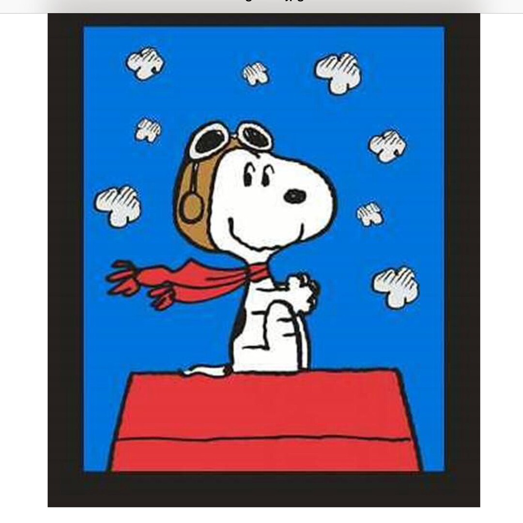 Snoopy on Doghouse Panel - Etsy