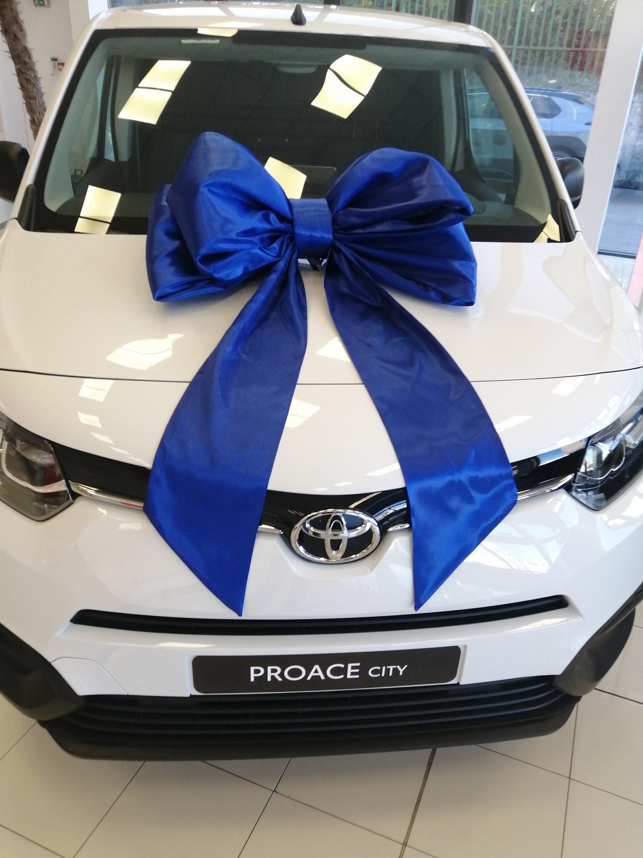 Royal Blue Big Bow Valentines Bow Giant Ribbon Ribbon for Your Car Car ...