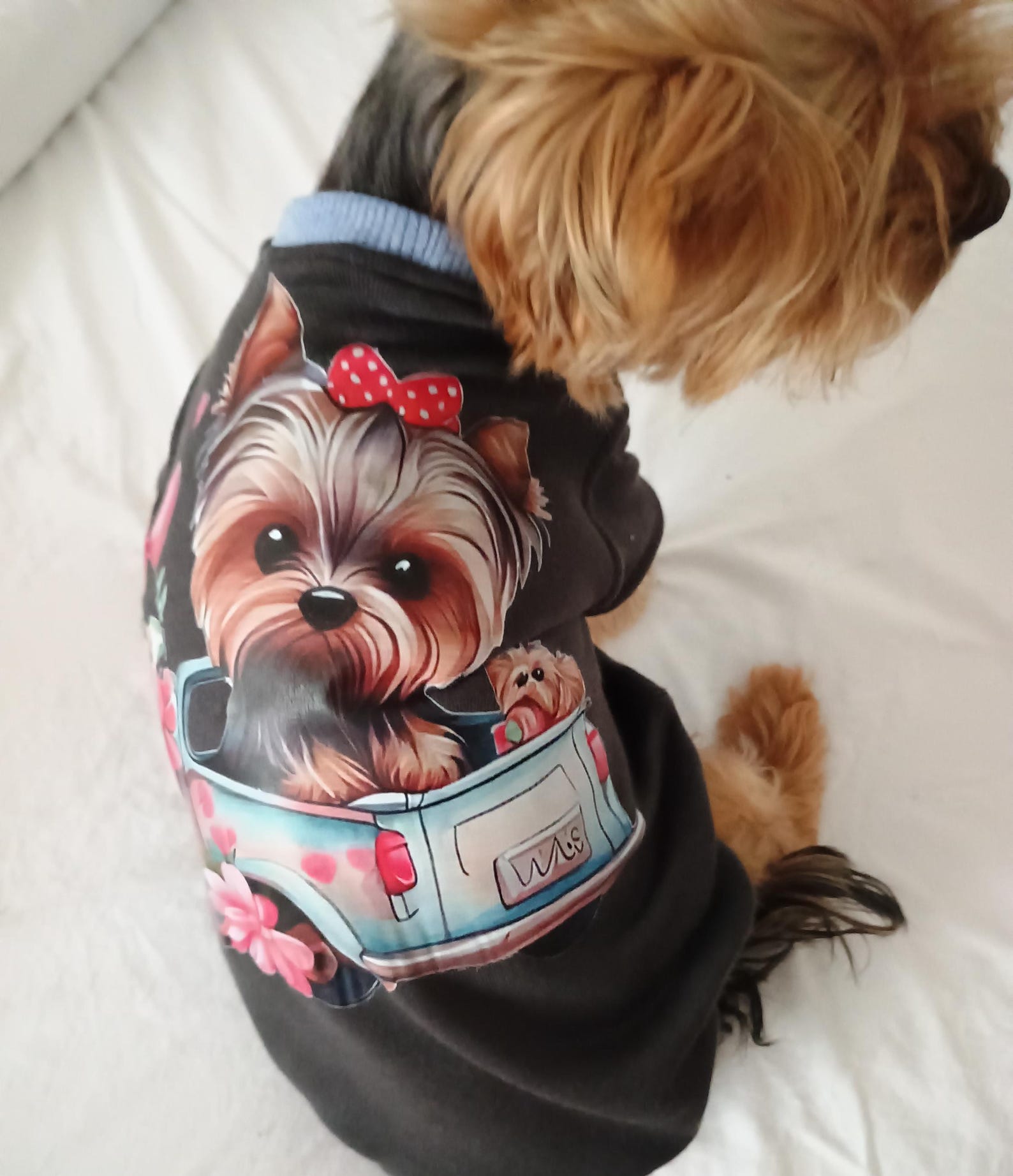 Yorkies Sweatshirt Dog Clothes Outfit Yorkie Sweaters Small Size Dog ...