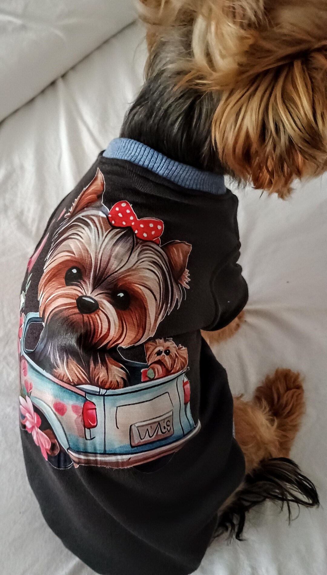 Yorkies Sweatshirt Dog Clothes Outfit Yorkie Sweaters Small Size Dog ...