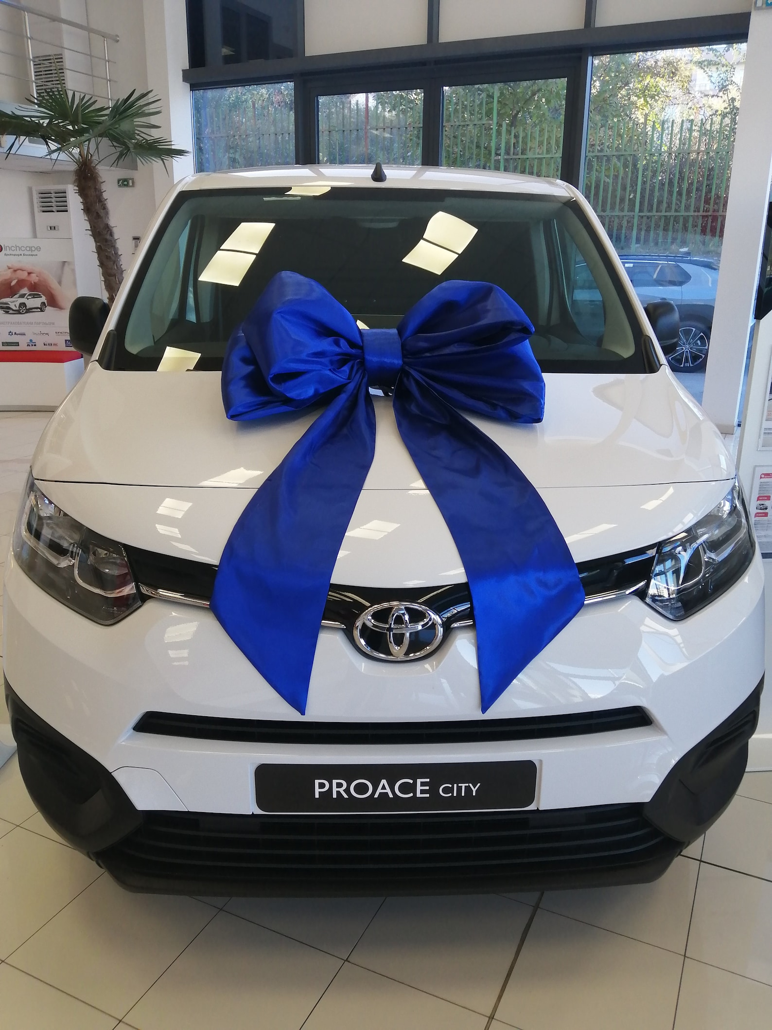 Royal Blue Big Bow Valentines Bow Giant Ribbon Ribbon for Your Car Car ...