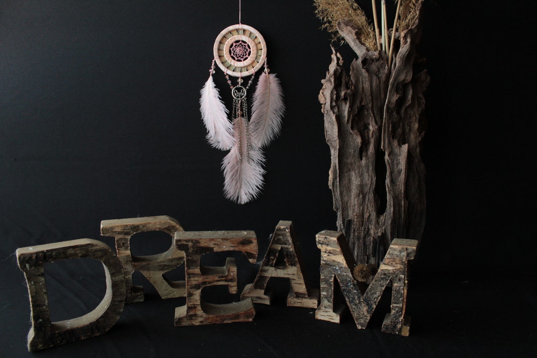 Blush Pink Dream Catcher, Good Witch Amulet, Car Charm - Etsy Australia