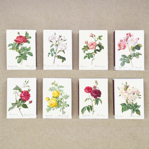 Set of 8 MATCHBOX Various Flower and Bird Paintings Botanical - Etsy