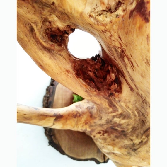 Wood Sculpture / Reptile / Alien / Wood Art / Statue | Etsy