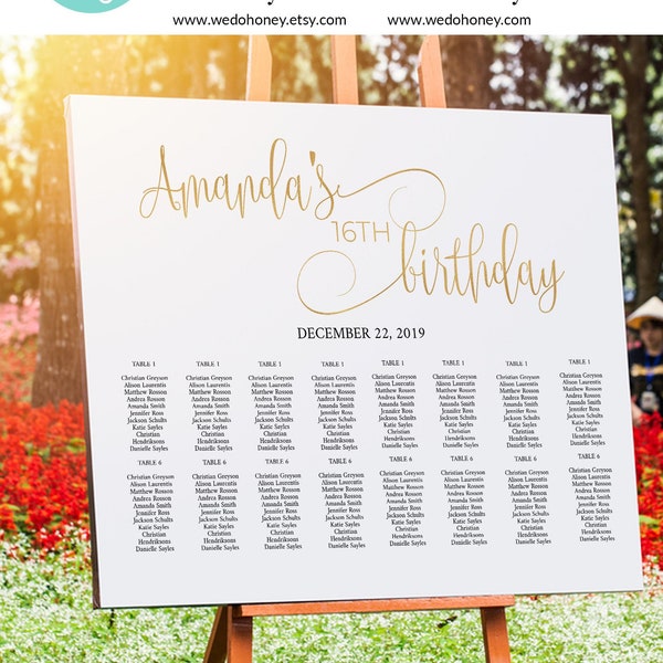 Birthday Party Plan - Etsy