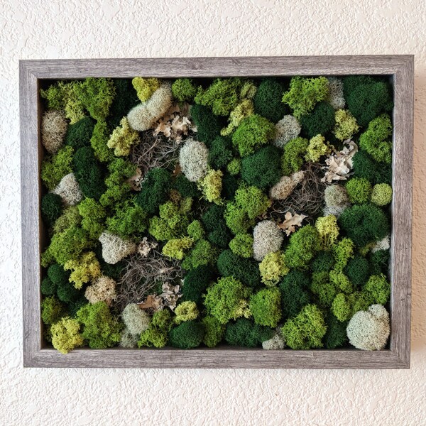 Moss Frame - Etsy