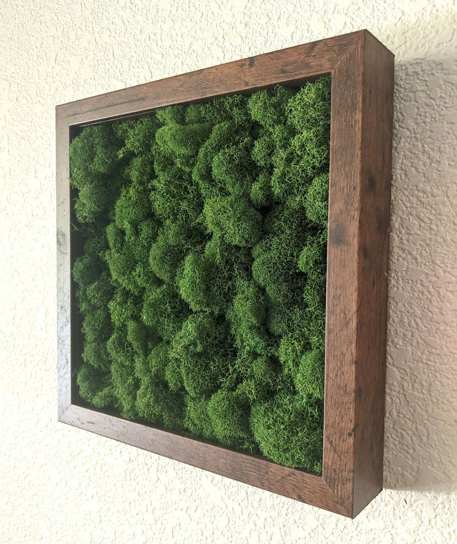 Moss Wall Green Reindeer Moss in a Sturdy Shadowbox 2 sizes | Etsy