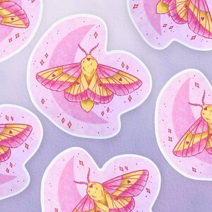 Rosy Maple Moth Sticker | Nature Insect Vinyl Sticker | Cute Pastel ...