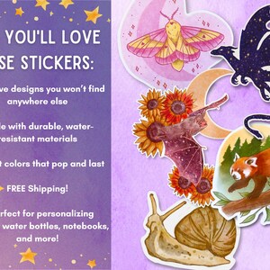 Rosy Maple Moth Sticker | Nature Insect Vinyl Sticker | Cute Pastel ...