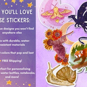 Celestial Dragon Moon Sticker | Fantasy Animal Vinyl Sticker ...