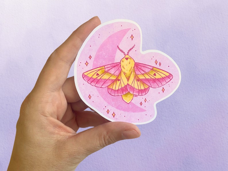 Rosy Maple Moth Sticker | Pastel Insect Art - Etsy
