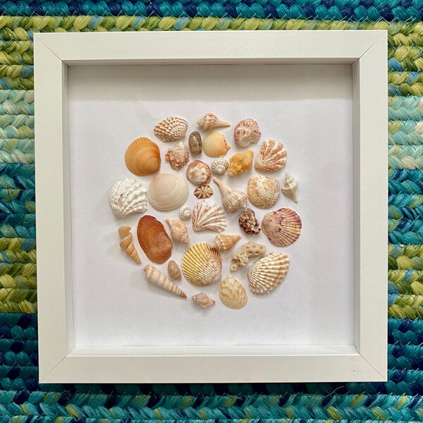 Framed Shell Art - Etsy