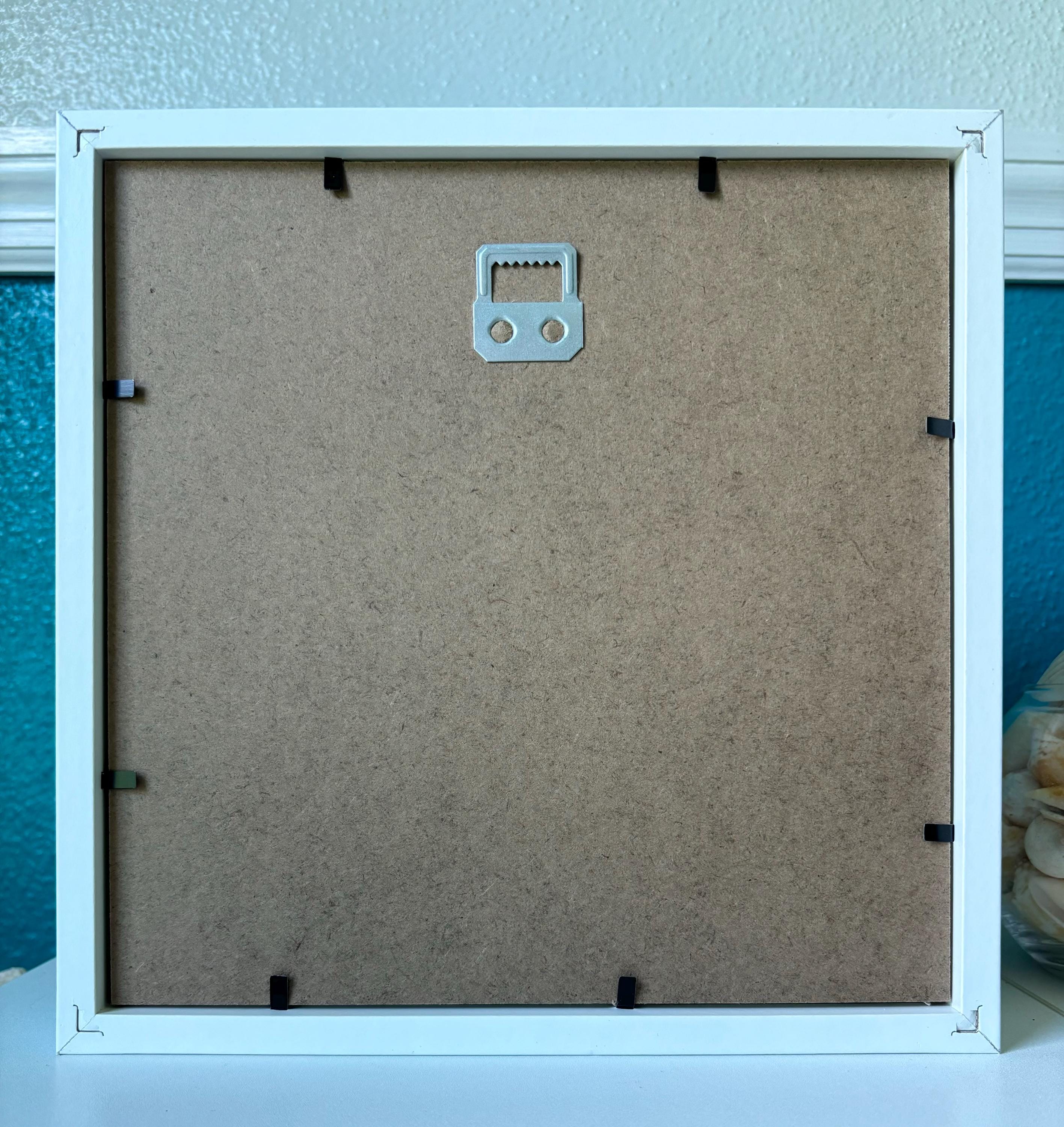 Framed Flat Scallop Shell Art, Shell Art, Sea Shell Art, Sanibel Sea ...