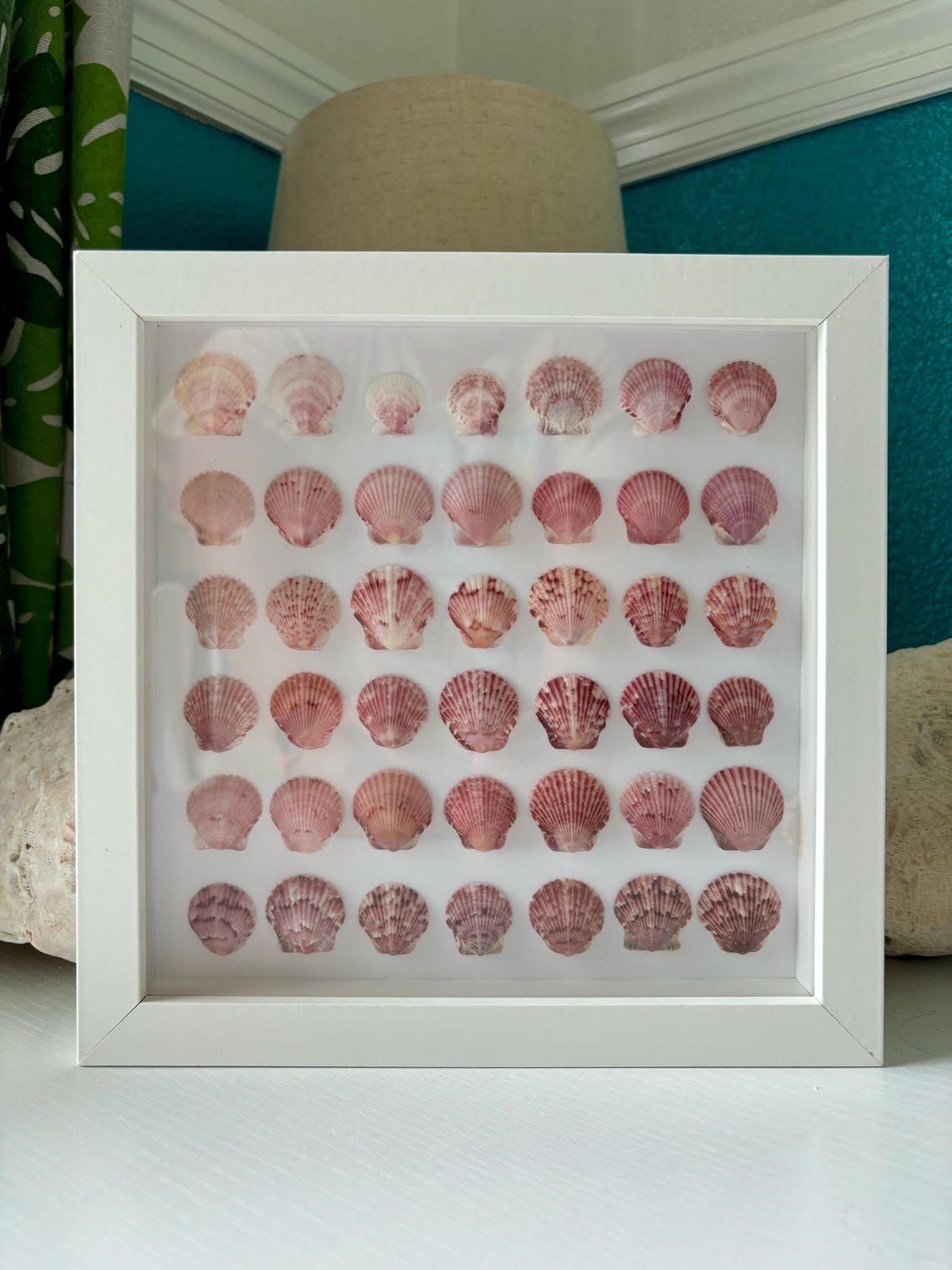 Framed Scallop Shell Art, Shell Art, Sea Shell Art, Sanibel Sea Shell ...