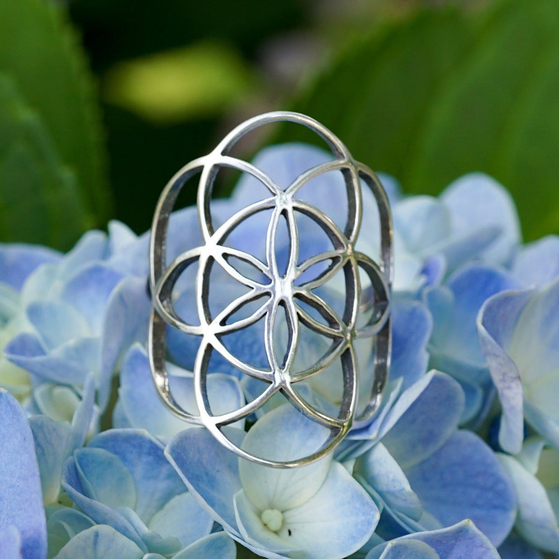 Silver Ring Warlock - Etsy