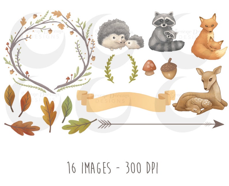 Woodland Clipart Mommy & Baby Forest Animals Cute Nature Watercolor Set ...