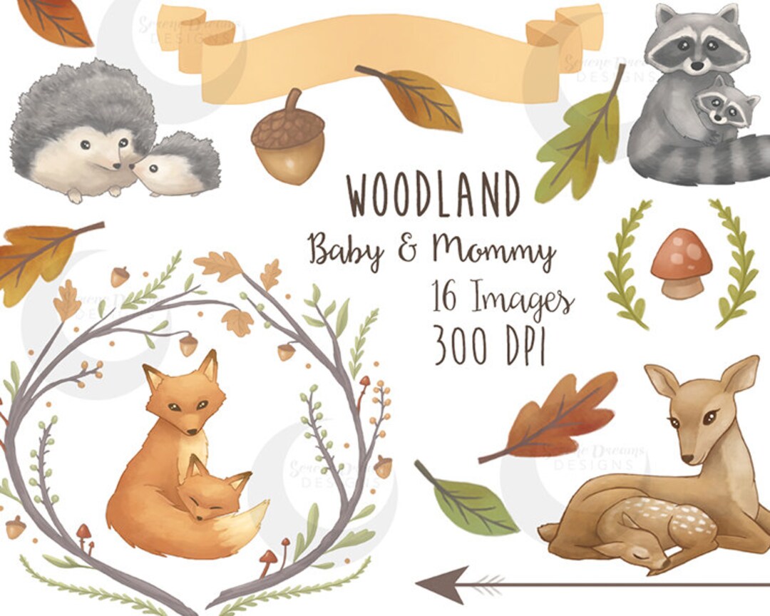 Woodland Clipart Mommy & Baby Forest Animals Cute Nature Watercolor Set ...