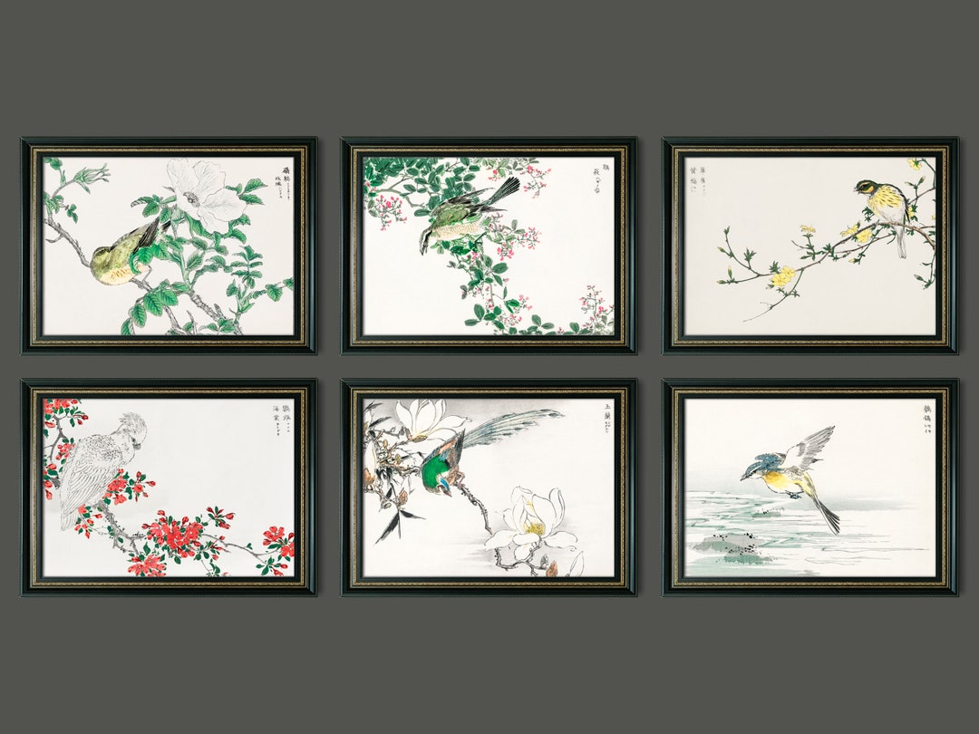 Japanese Coloured Bird Drawings Prints - Set of 6 - Gallery Wall Art ...