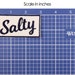 Salty Patch – Made in USA – 3" X 1.5" Embroidered Patches for Jackets ...