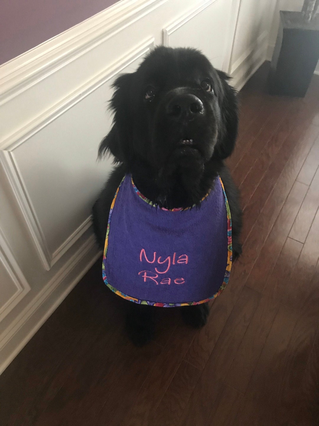 Newfoundland Dog Drool Bib / X-large Dog Drool Bib/ Personalized Dog ...