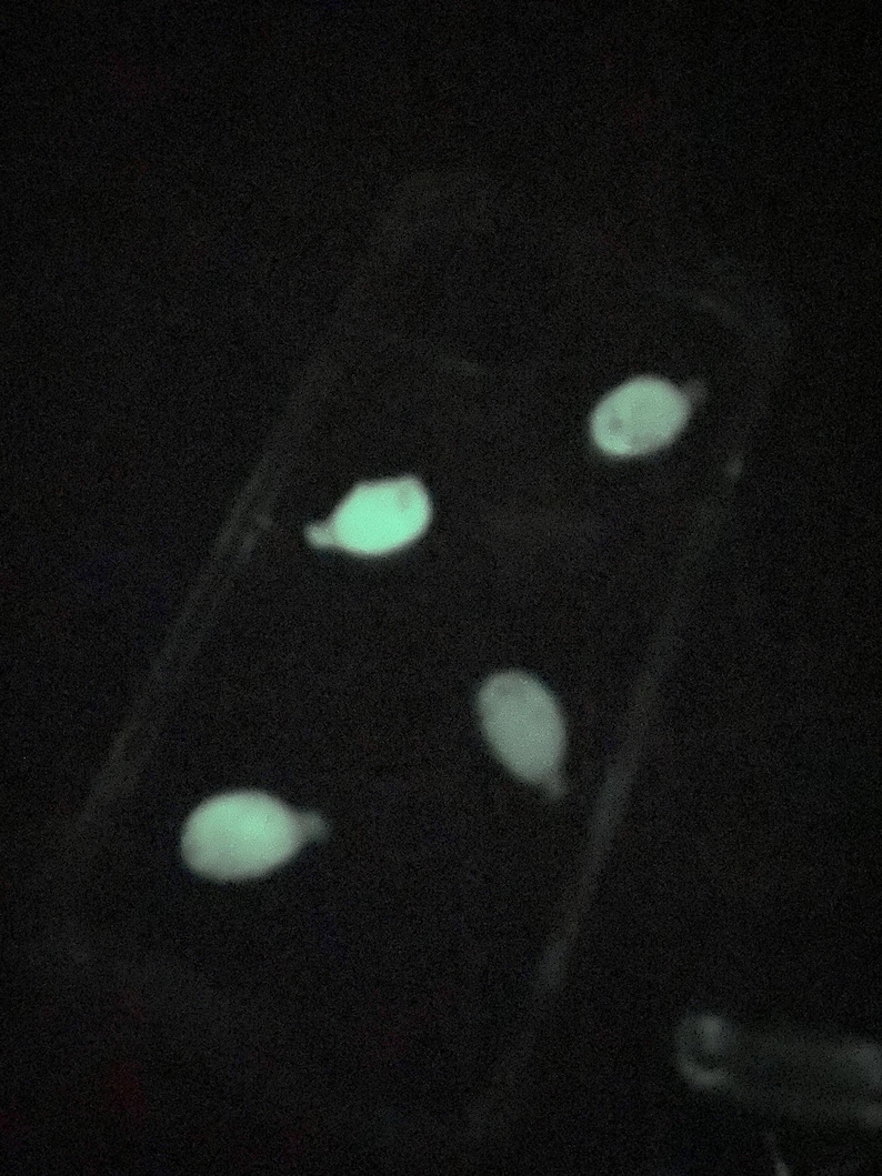 Wave Luminous Sea Seals Galaxy Z Flip7/6/5/4/3 Case - Etsy