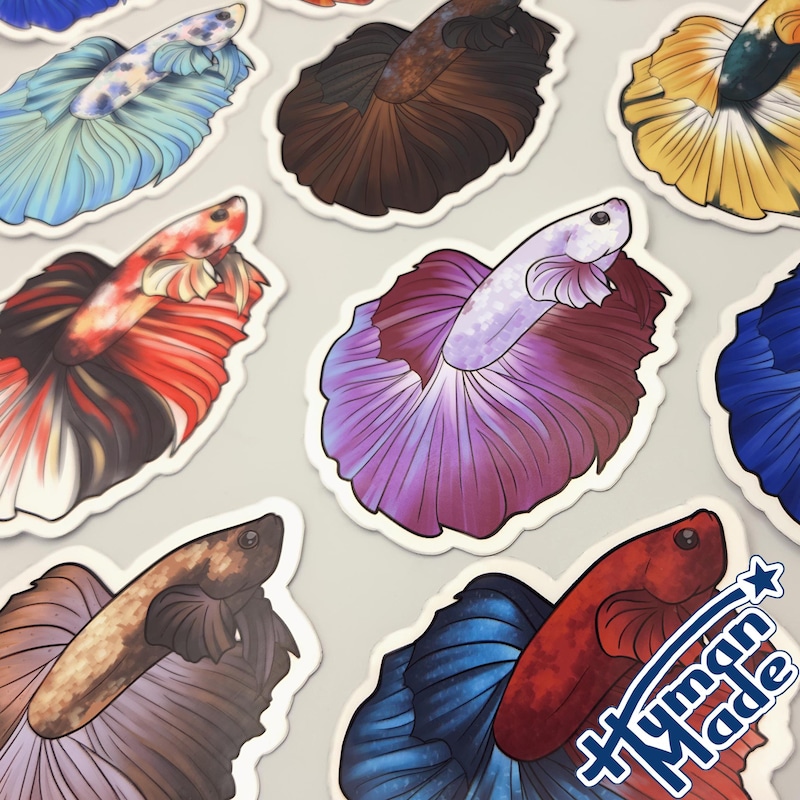 Vinyl Stickers Betta - Etsy