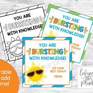 Testing Treats, Testing Treat Bags, Editable Testing Treat Labels ...