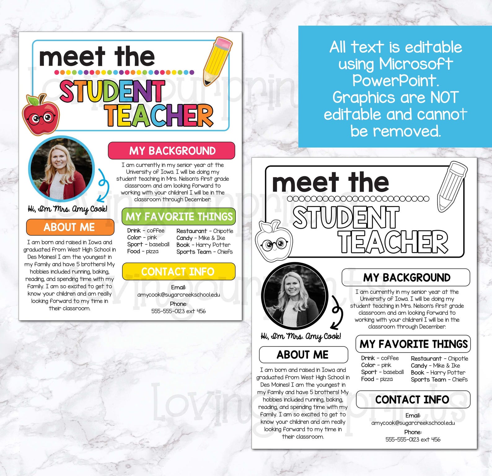 Meet the Student Teacher, Meet the Student Teacher Template, Meet the ...