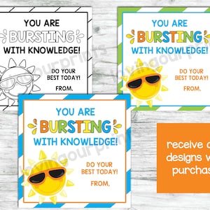 Testing Treats, Testing Treat Bags, Editable Testing Treat Labels ...