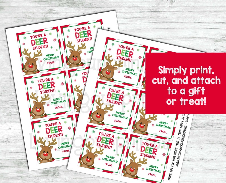 Student Gift Tags Christmas Student Gift Tag From Teacher - Etsy