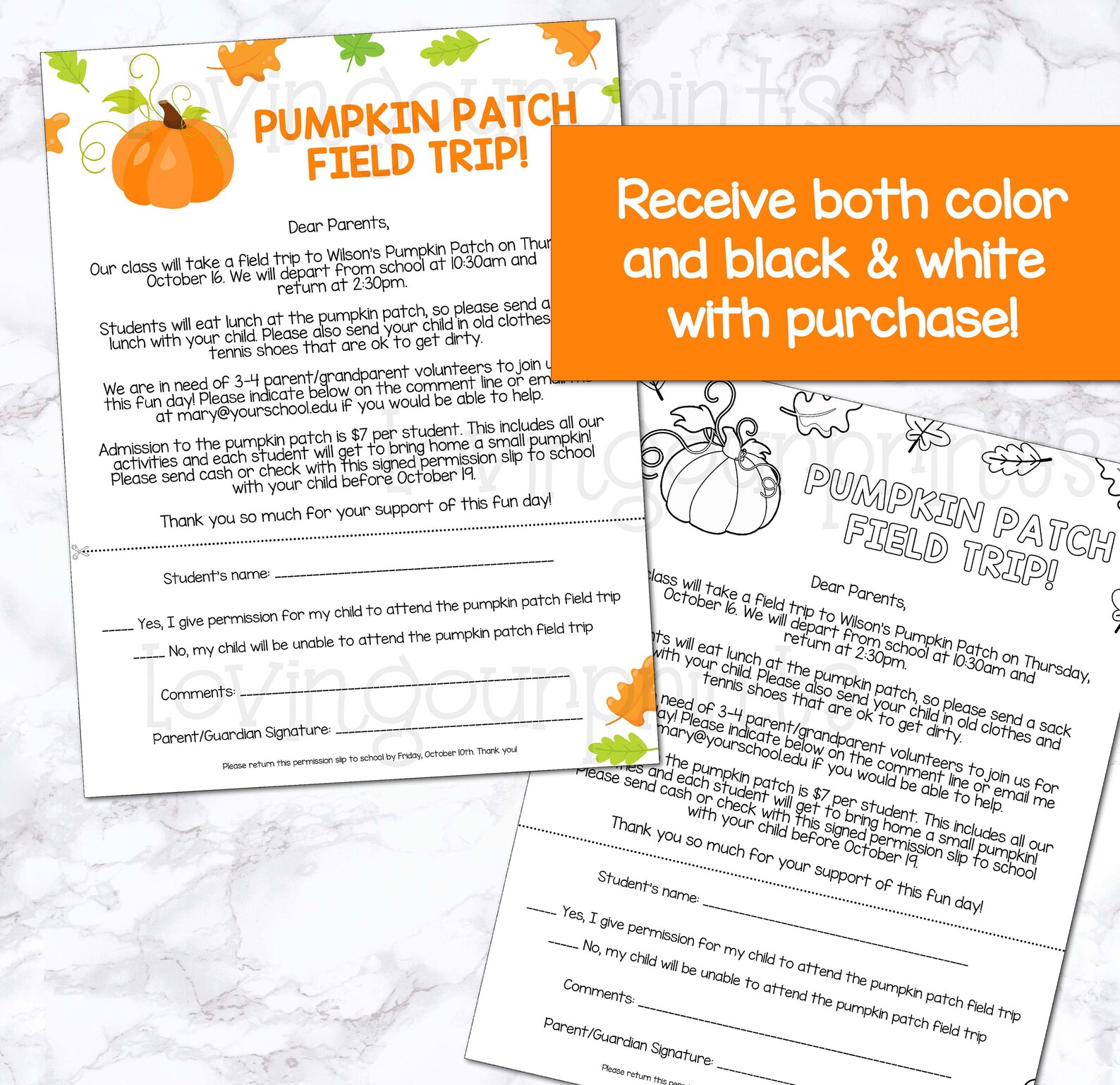 Pumpkin Patch Field Trip, Editable Pumpkin Patch Field Trip Form ...