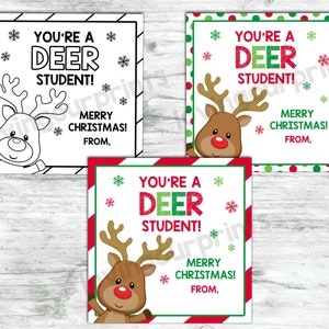 Student Gift Tags Christmas, Student Gift Tag From Teacher, Christmas ...