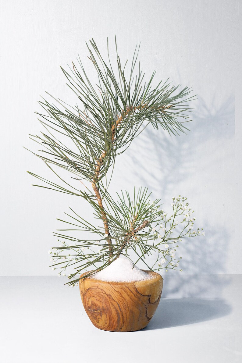 Crushed Salt Mist Reed Diffuser - Etsy