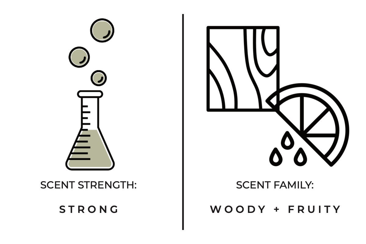 Stargazing Air Fragrance Card, Pack of Two - Etsy