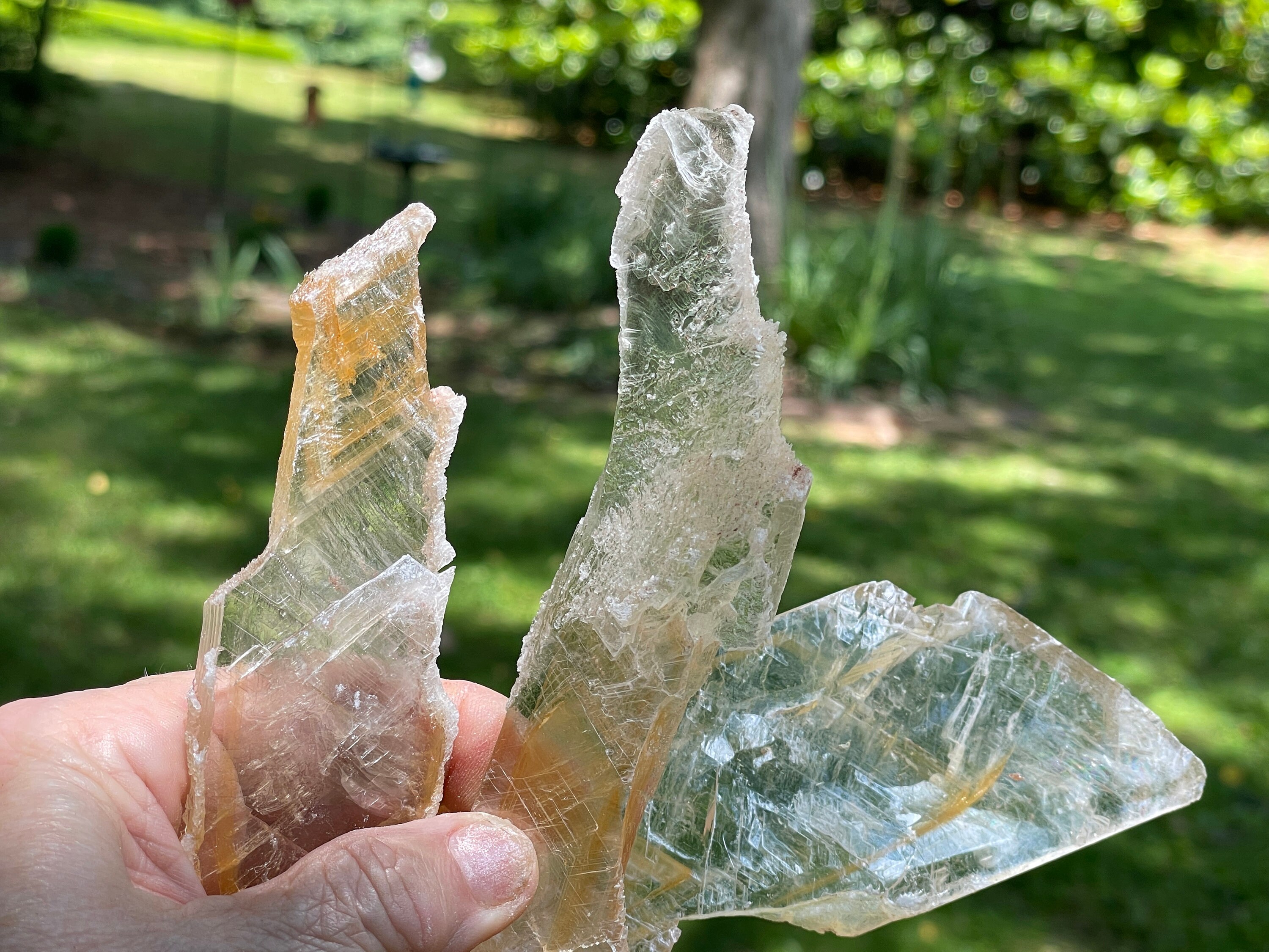 Golden Phantom Selenite, Rare! Golden Ray Selenite, Arkansas Golden ...