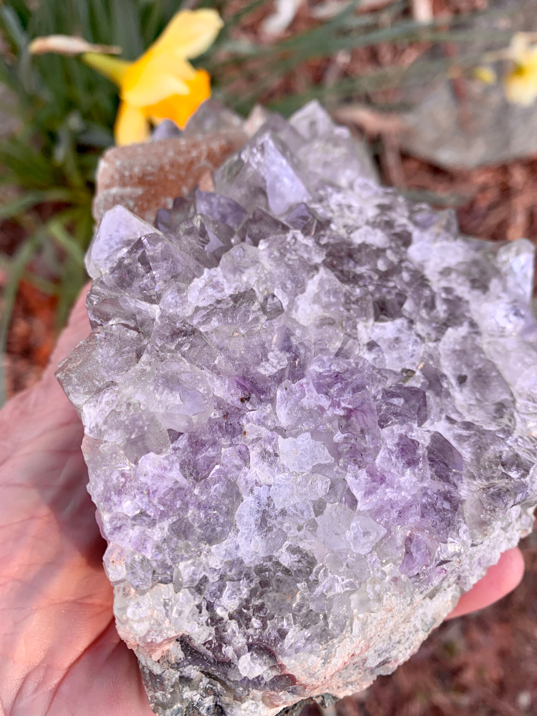 Amethyst Geode Amethyst Cluster Ametrine AGO3/6 Ametrine - Etsy