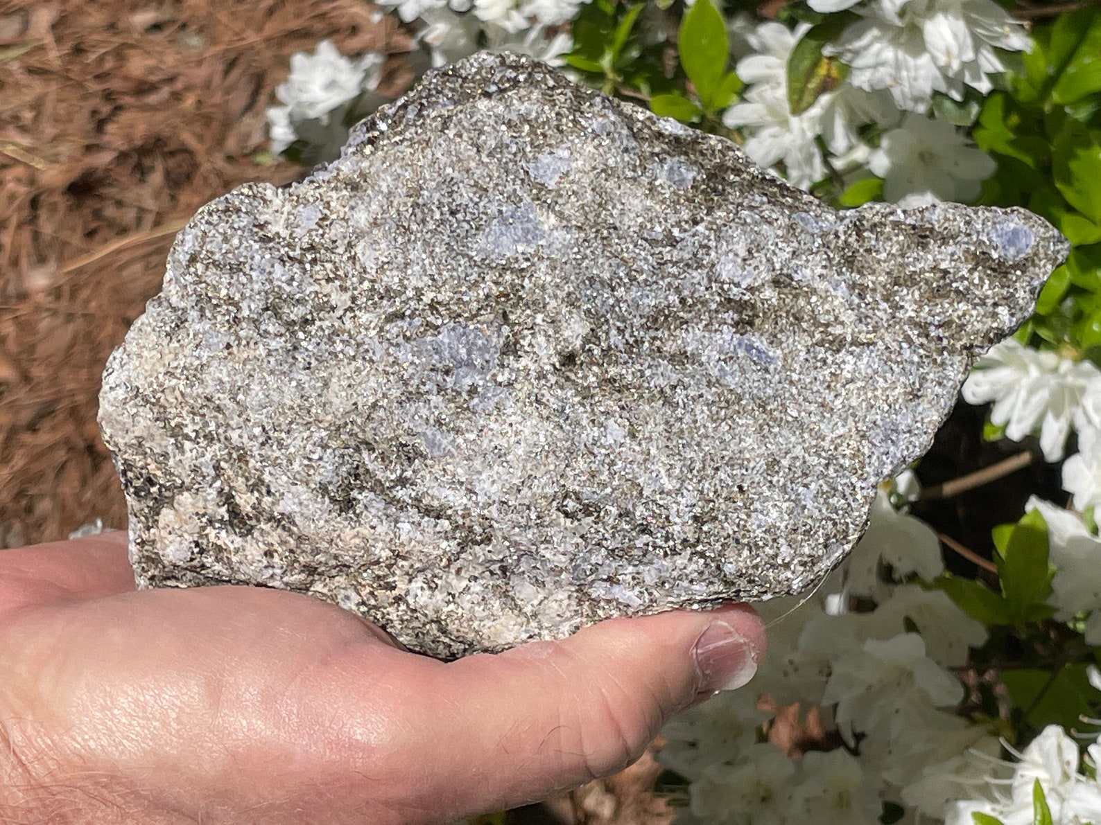 XL Sodalite Stone Raw Sodalite SO5/23 With Pyrite & | Etsy
