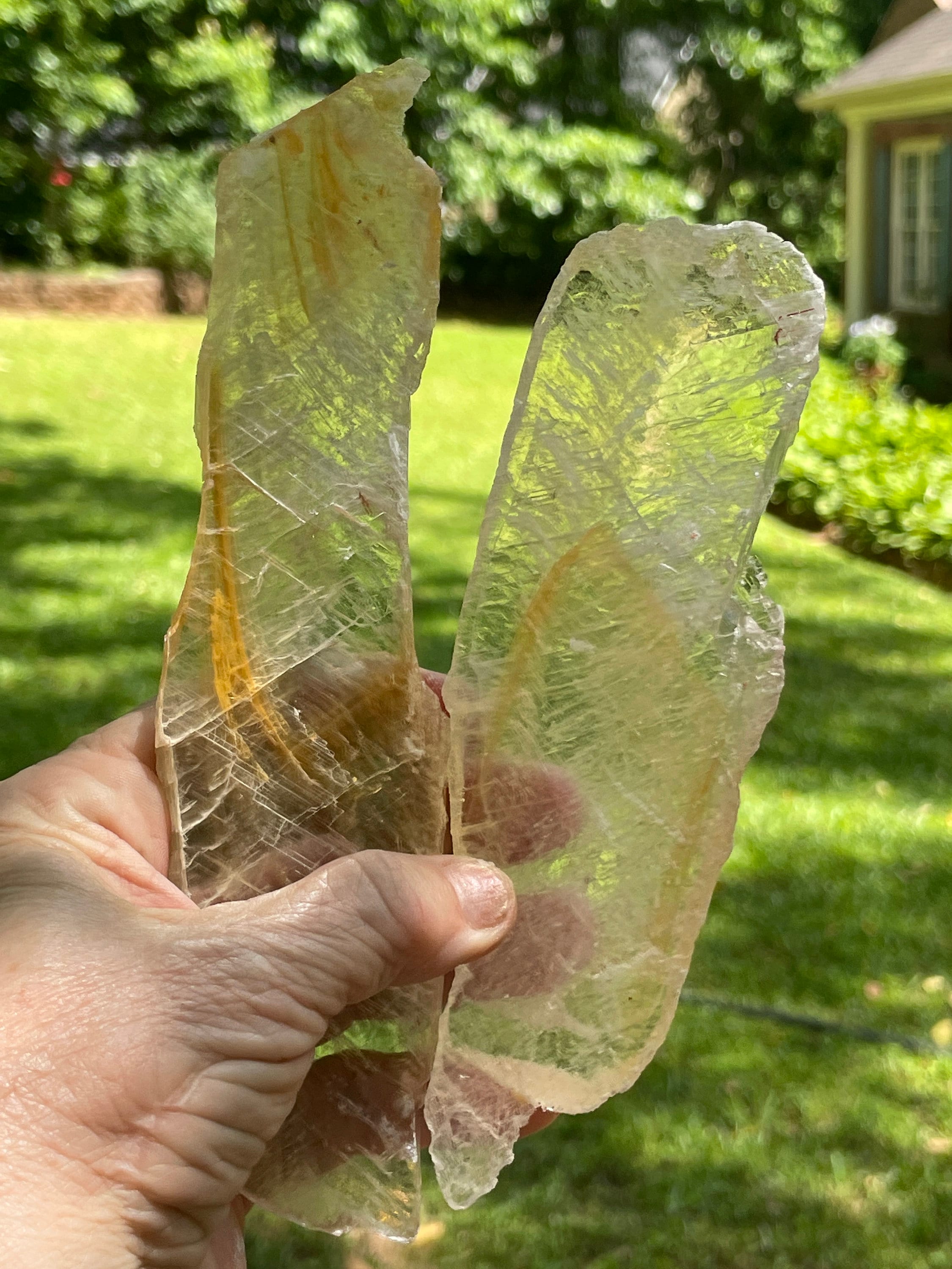Golden Phantom Selenite, Rare! Golden Ray Selenite, Arkansas Golden ...