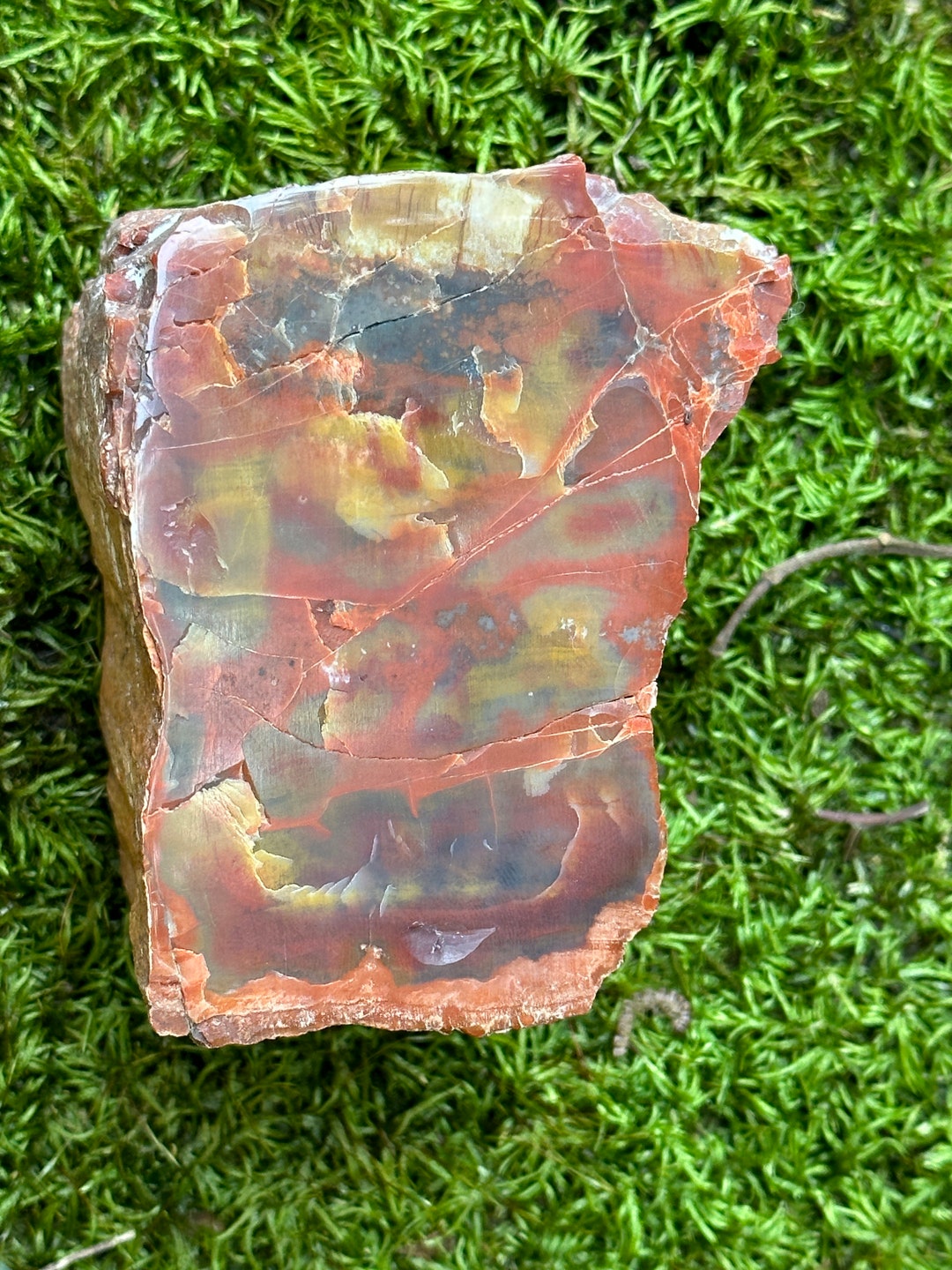 Fossilized Wood, Raw Petrified Wood, Madagascar, Grounding, Lower ...