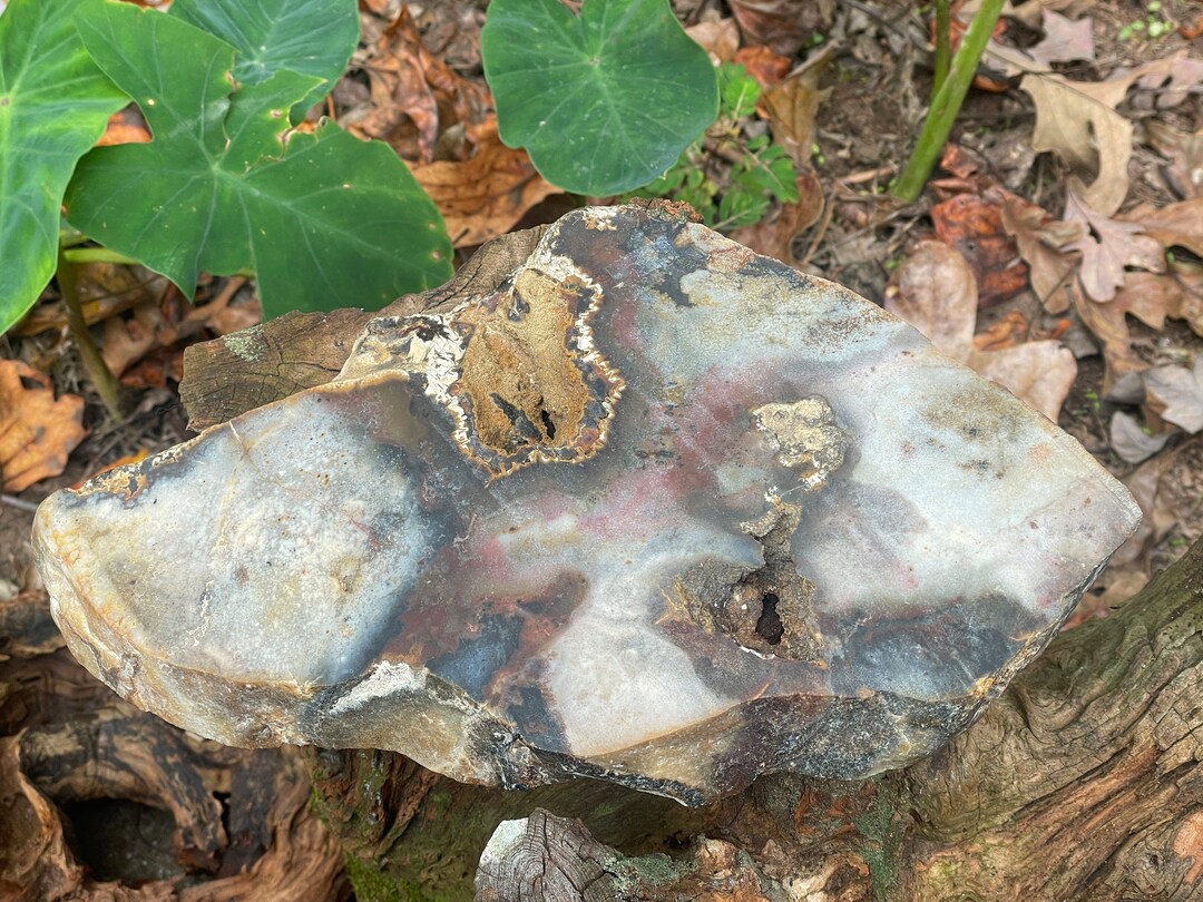 Large Agate Slab, Agate Slab, Rich Colors & Patterns, With Display ...