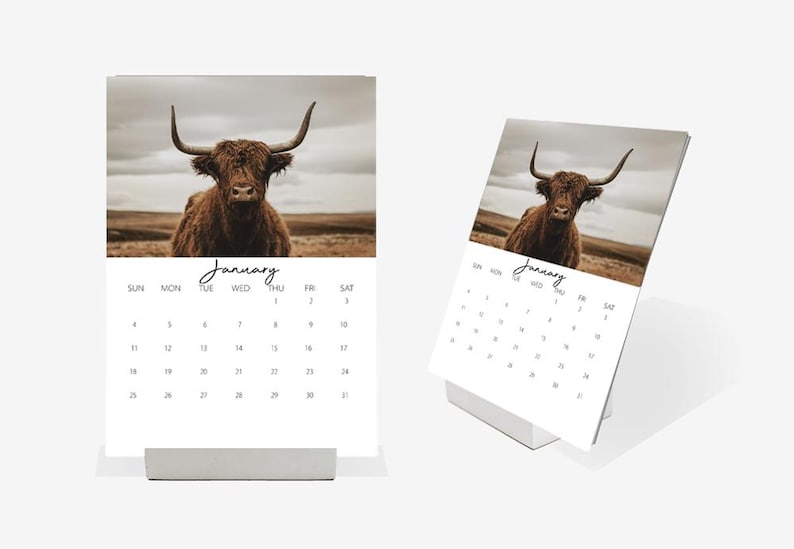 2026 Montana Fine Art Desk Calendar, Rustic, Ranch, Farm, Horse ...