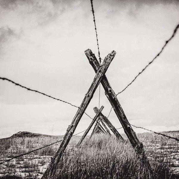 Barbed Wire Art - Etsy