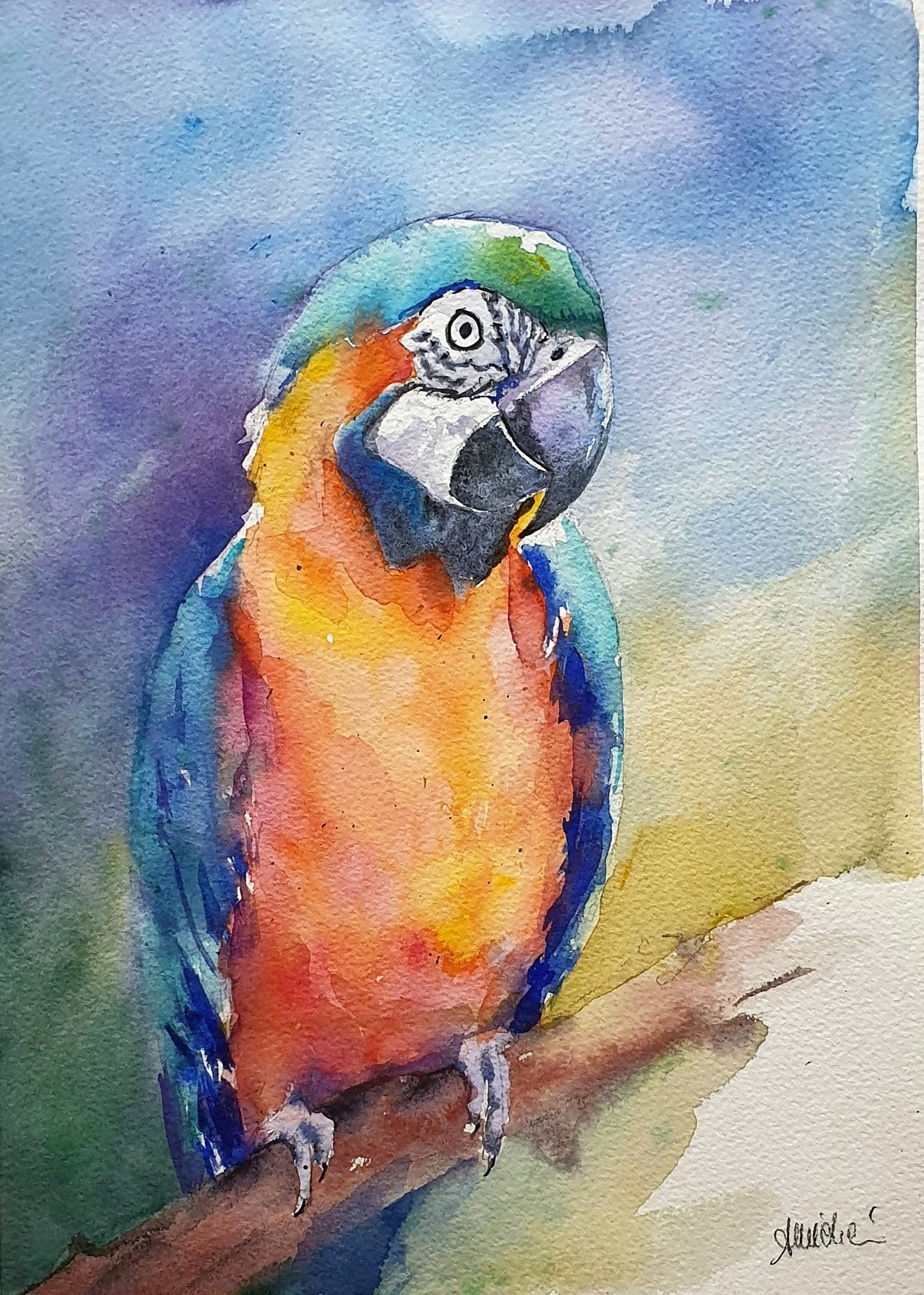 Parrot Watercolor Painting, Macaw Painting, Bird Lovers Gift, Colorful ...