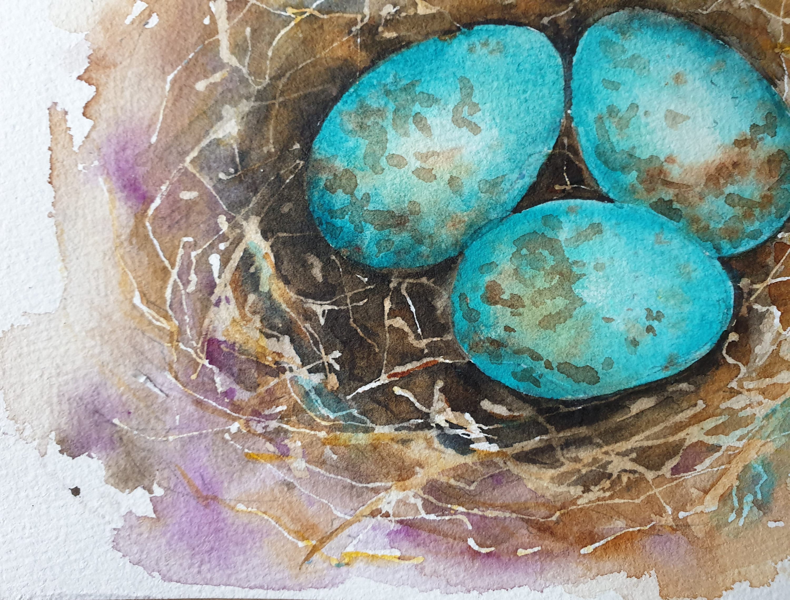 Original Watercolor Nest, Nest With Eggs Painting, 3 Blue Eggs in Nest ...