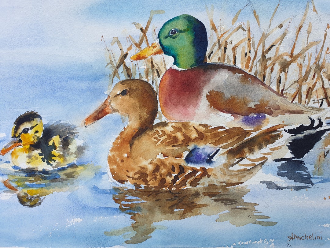 Ducks Couple Original Watercolor Water Birds Painting Mallard Ducks ...