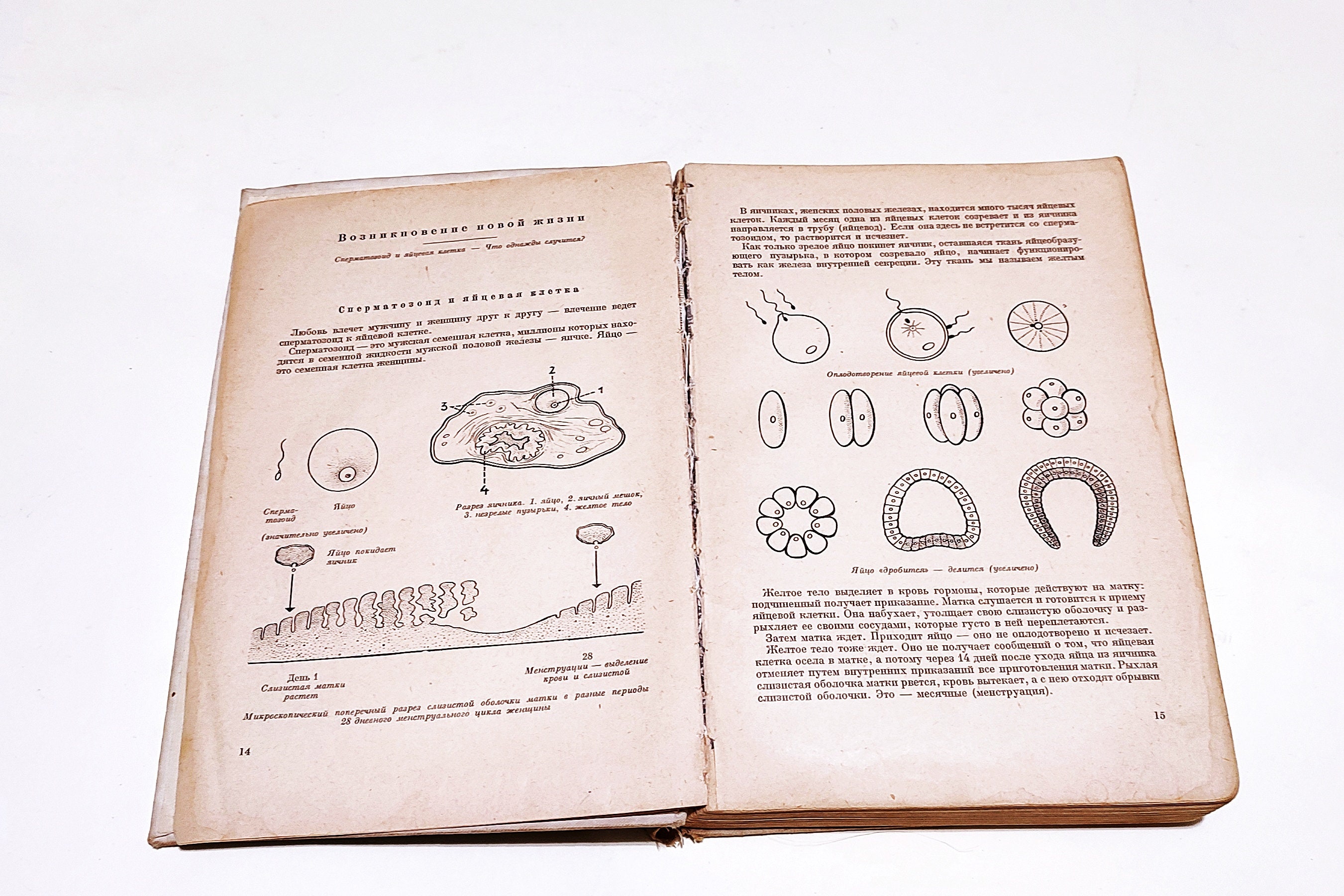 Vintage Collectible Medical Old Book Our Child, Young Mother's Textbook ...