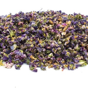 Sweet Violets English Violets Dried Flowers Viola Odorata - Etsy