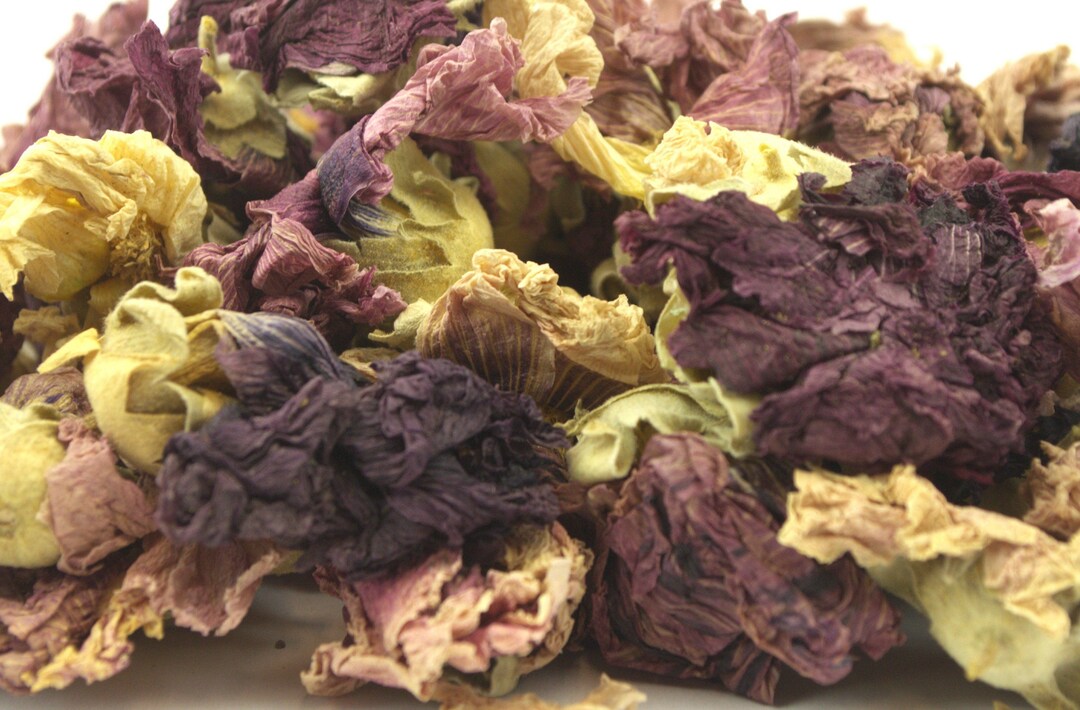 Violet Mallow Hollyhock 250g 1kg Edible Dried Flowers Tea - Etsy