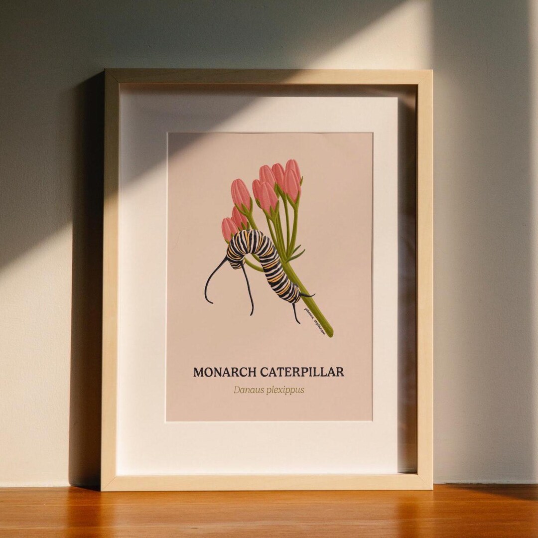 Custom Bug/insect Colour Illustration Poster - Etsy